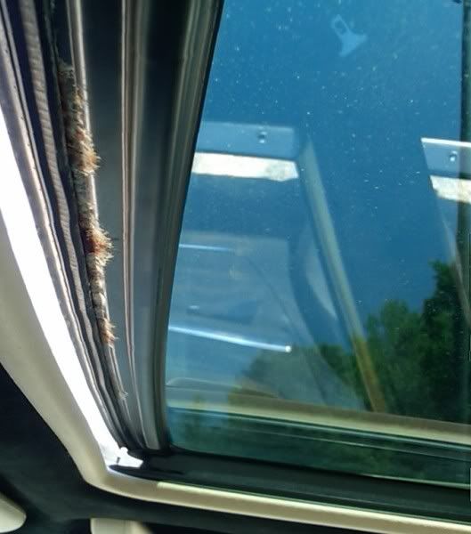 Wtf Is This Shit - Off-topic/Deleted Posts - Volvospeed Forums