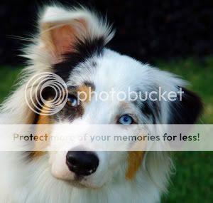 Xavier look at these. - Bananas.org