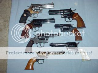 colt family pics | Colt Forum