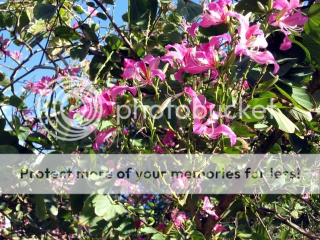 Bouquets – Quintessentially Quilly