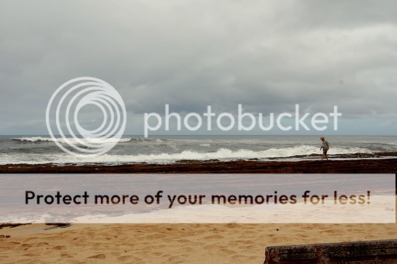 See Wall? Sea Wall! – Quintessentially Quilly