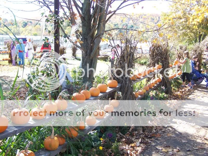 Fall Journey Photos..Pumpkins..and Fun! (Scranton, York: home, farm ...