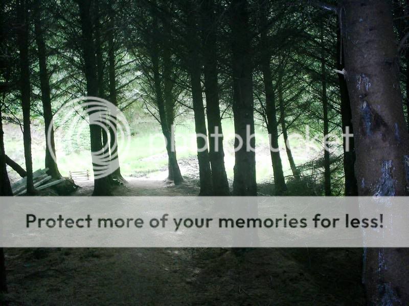 The Kintyre Forum • View topic - Bike track at Ben Gullion