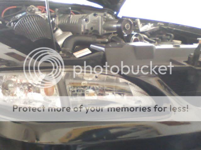 Black 97 Cobra..built 03 Cobra motor | Ford Mustang Forums