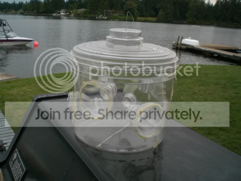New and improved MINNOW trap. | MonsterFishKeepers.com