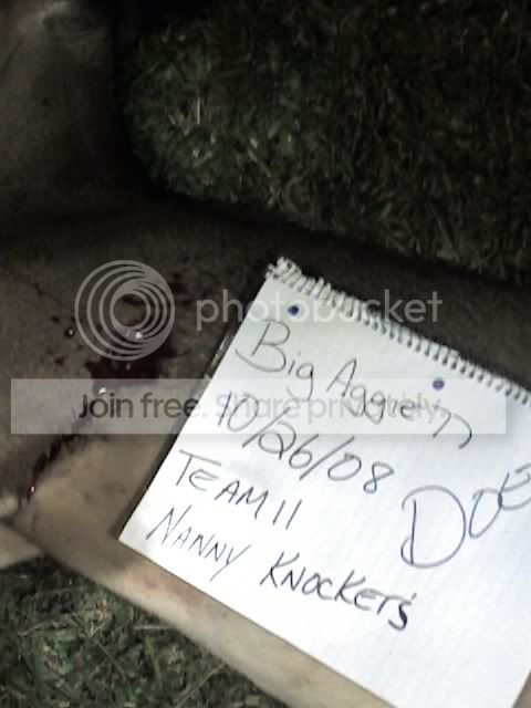 2008 / 09 Official Bow Kill Thread - ALDEER.COM