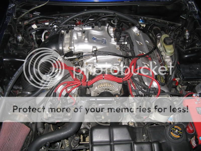 Sonic Blue 98 Cobra / 01 Cobra Motor | Ford Mustang Forums