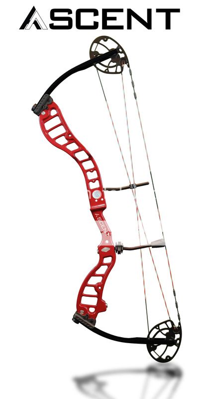 Athens Ascent (new target bow) | Archery Talk Forum